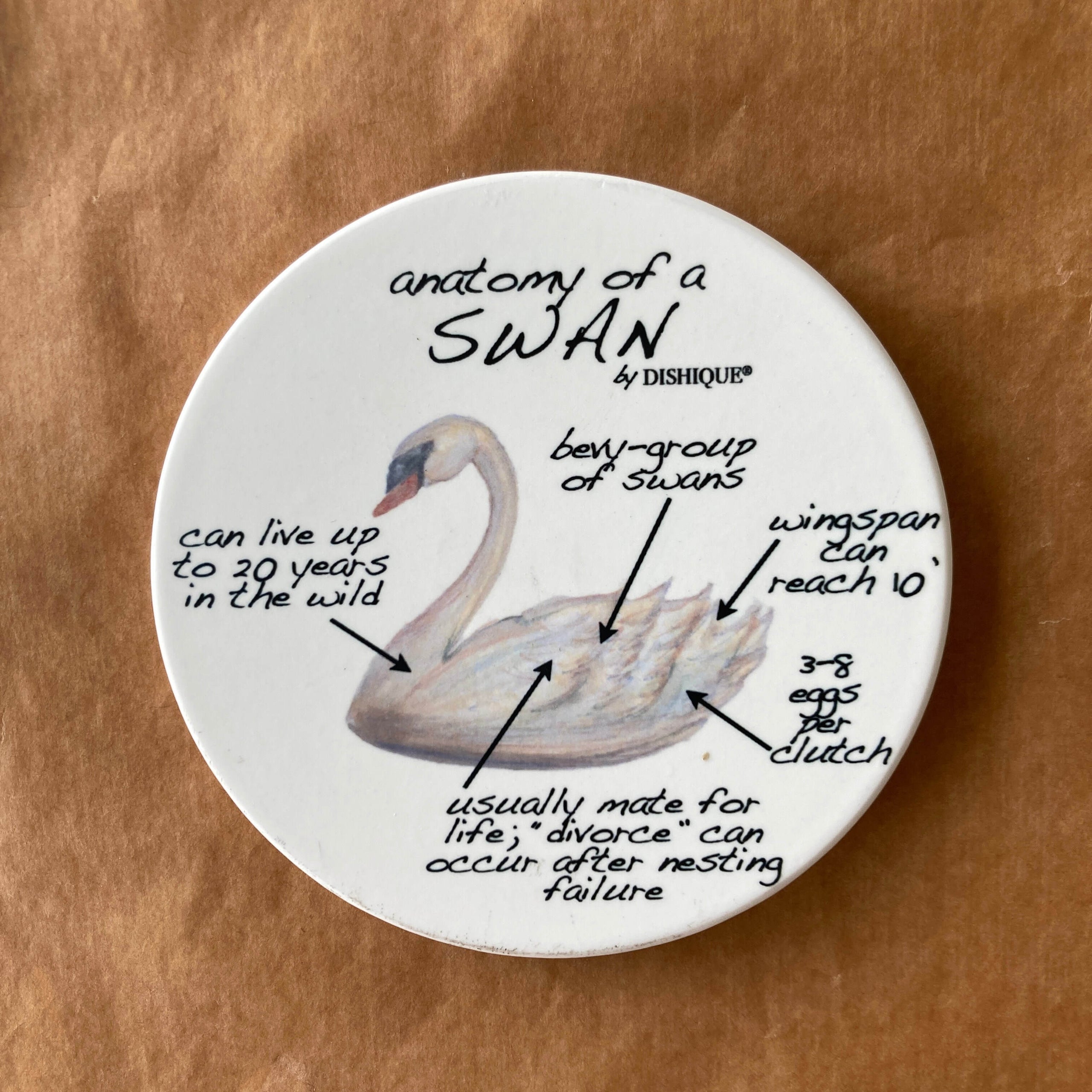 Anatomy of a Swan Coaster | Scout & Tag